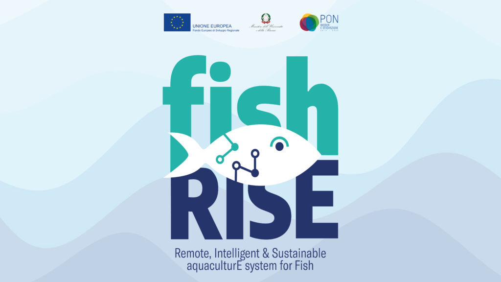 Venerdì 28 giugno a Lecce evento finale del progetto fish RISE su ...